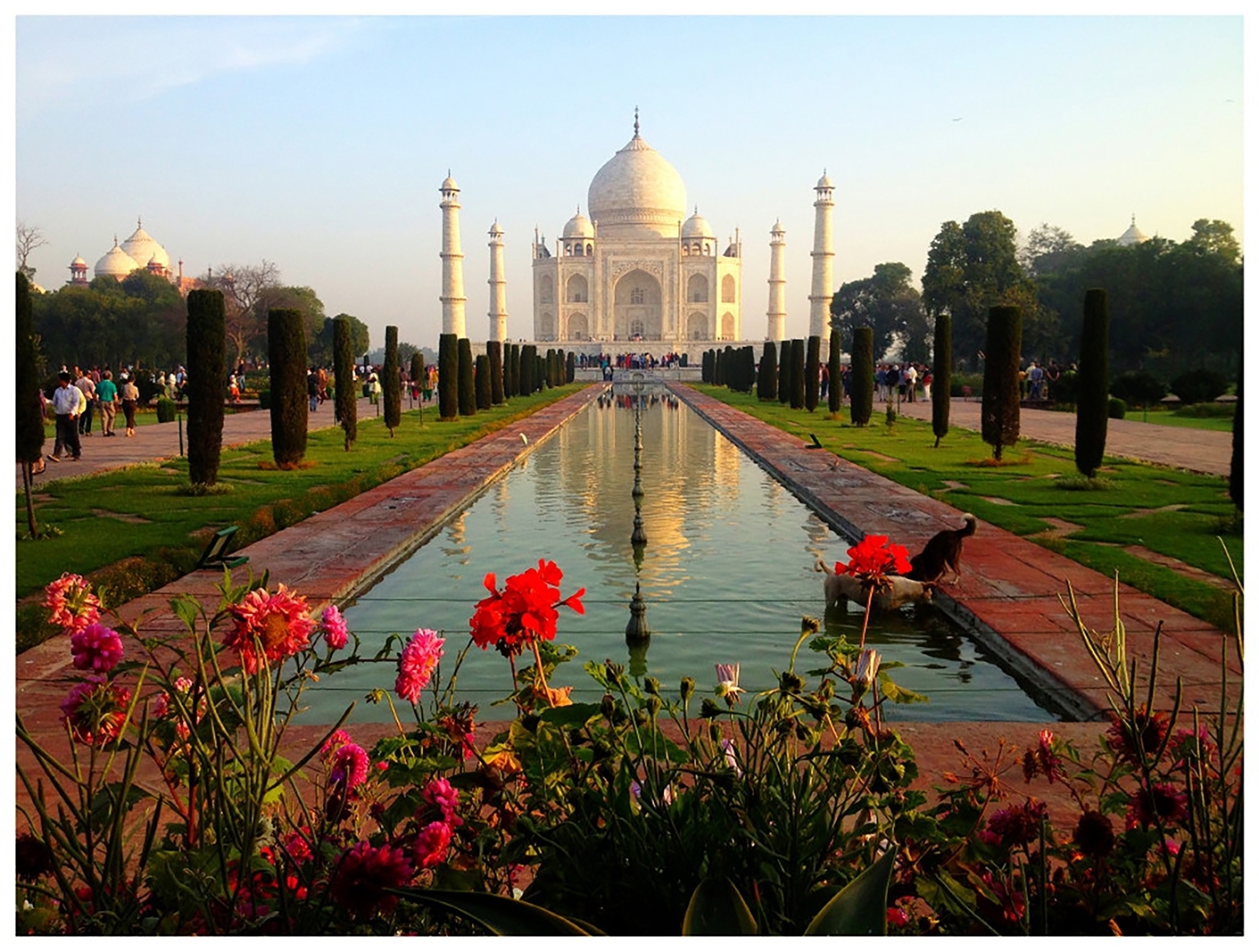 India – Mtn Spirits