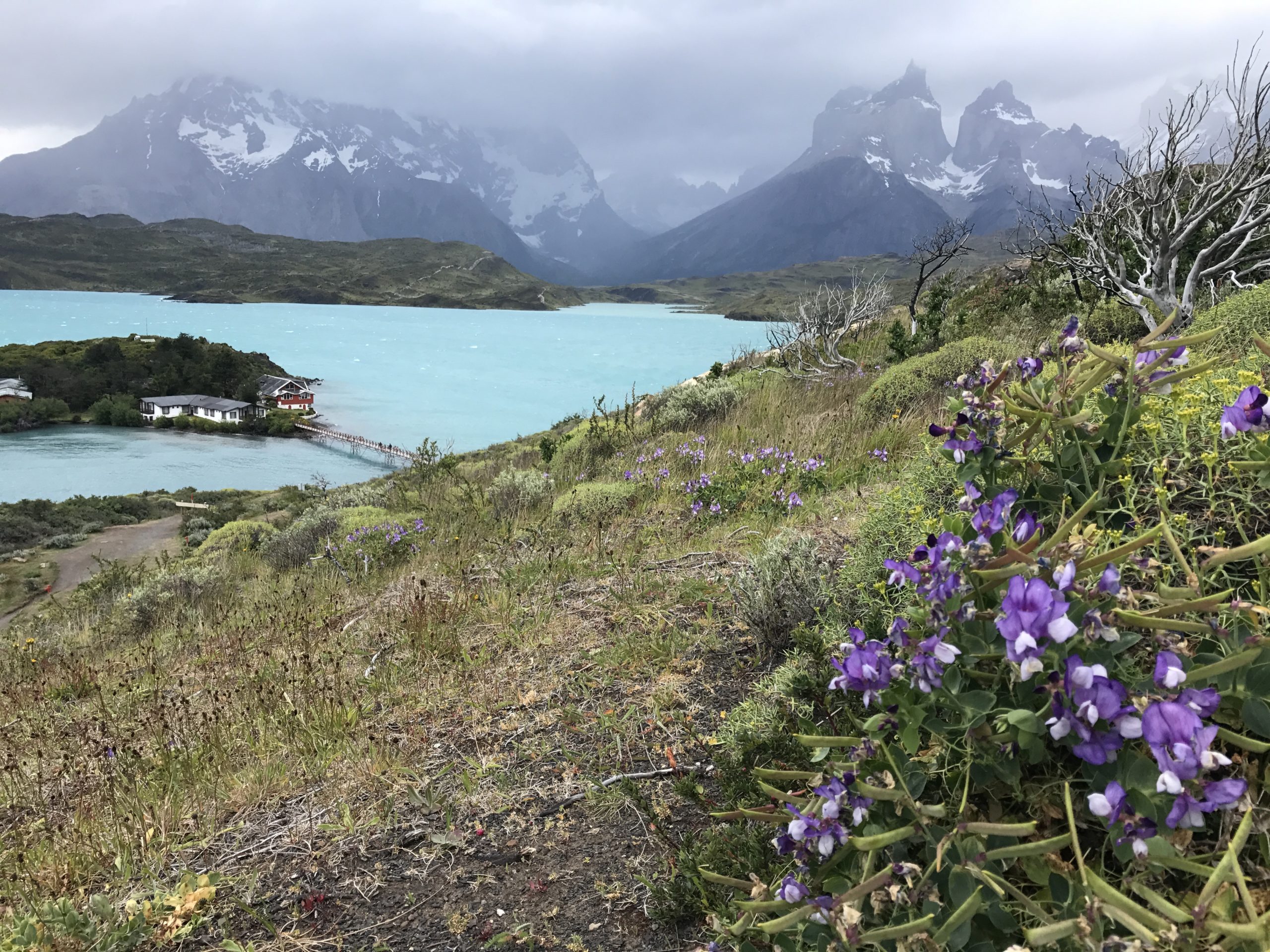 Patagonia – Mtn Spirits